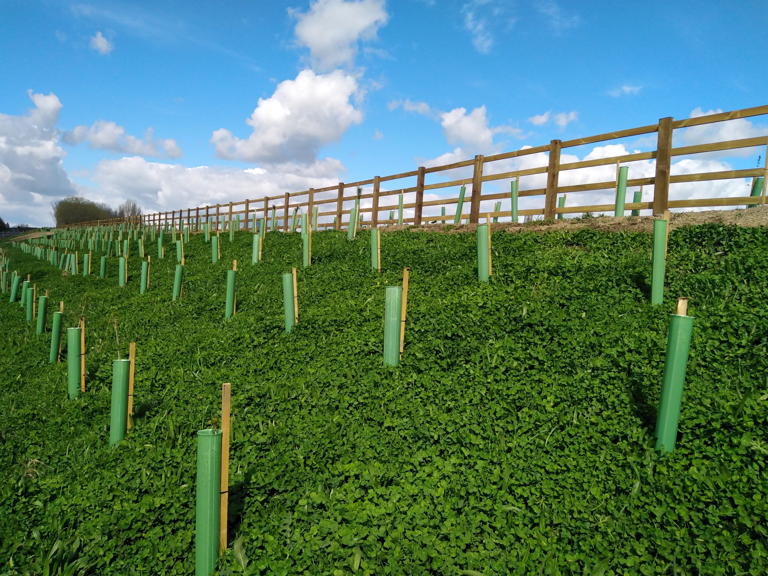 Highway Fencing - The DTMS Group