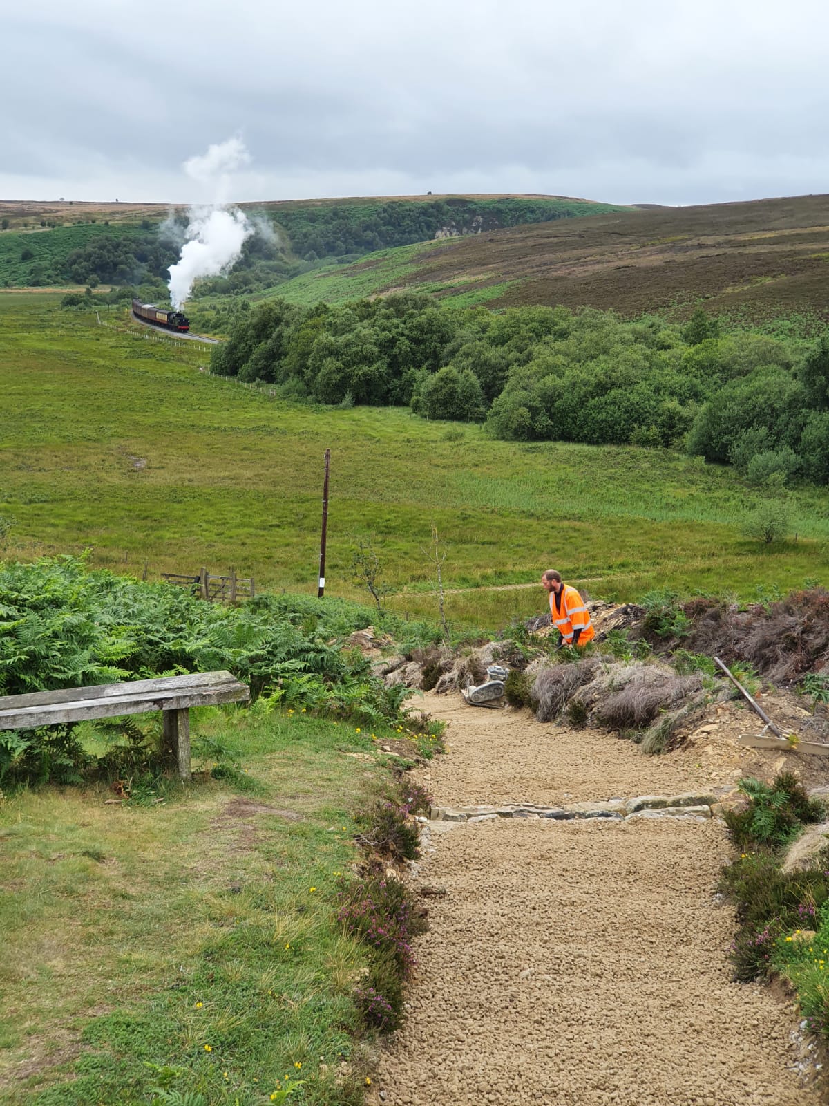 Case Studies - The DTMS Group