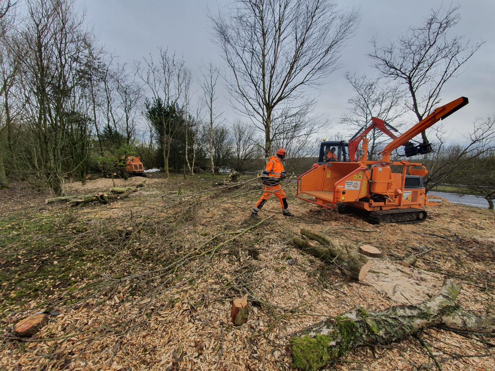 Site Clearance - The DTMS Group