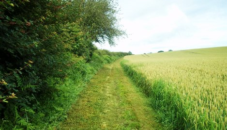 Footpath Maintenance - The DTMS Group